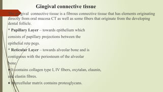 STRUCTURE AND FUNCTION OF GINGIVA IN PERIODONTICS | PPTX