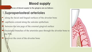 STRUCTURE AND FUNCTION OF GINGIVA IN PERIODONTICS | PPTX