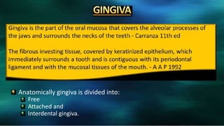 Gingiva 2.pptx
