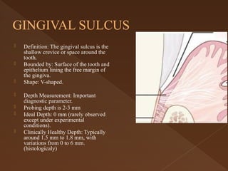GINGIVA ( the part of periodontium) .pptx