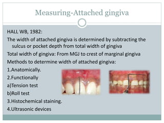 Gingiva | PPTX