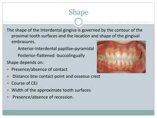 Gingiva | PPTX