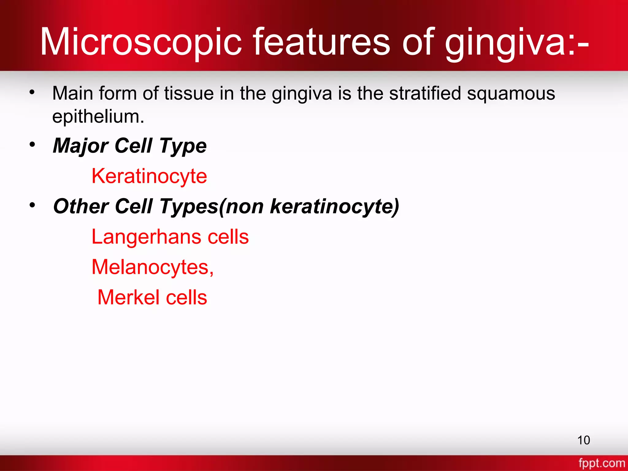 Gingiva in health and disease | PPT