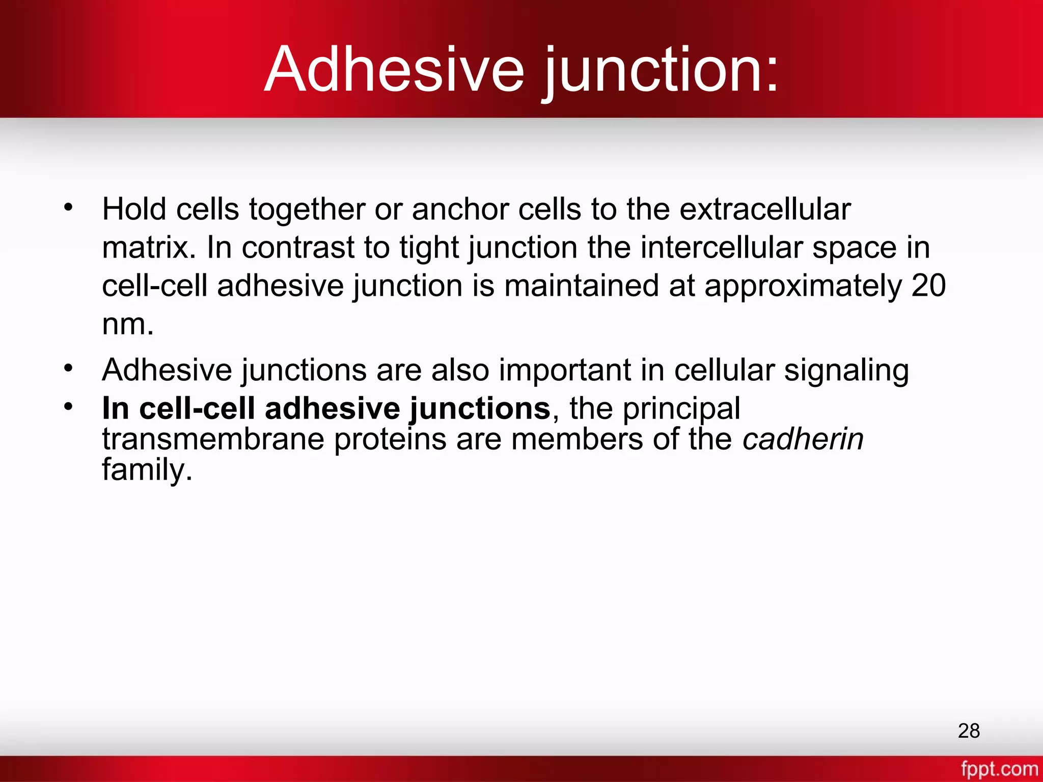 Gingiva in health and disease | PPT