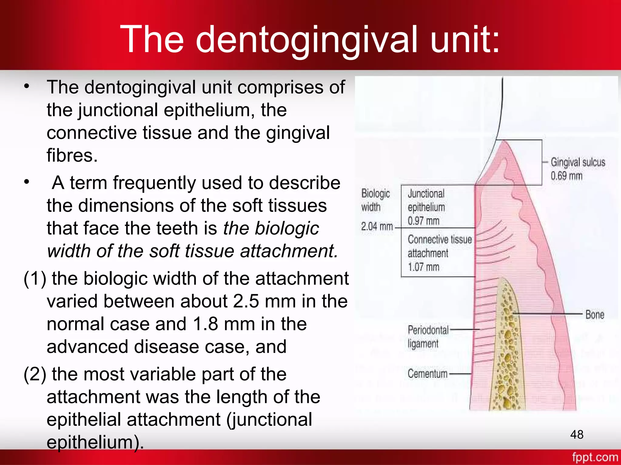 Gingiva in health and disease | PPT