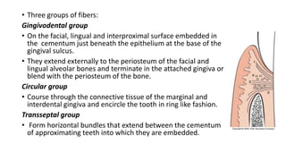 Gingiva in health and disease | PPTX