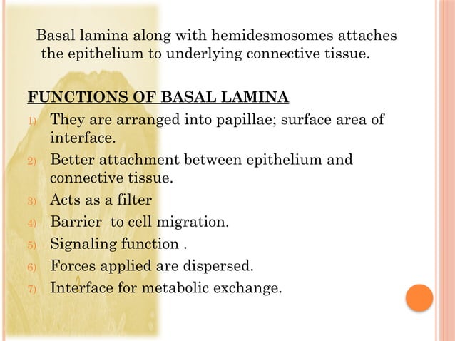 GINGIVAL AND CONNECTIVE TISSUE INTERFACE.pptx