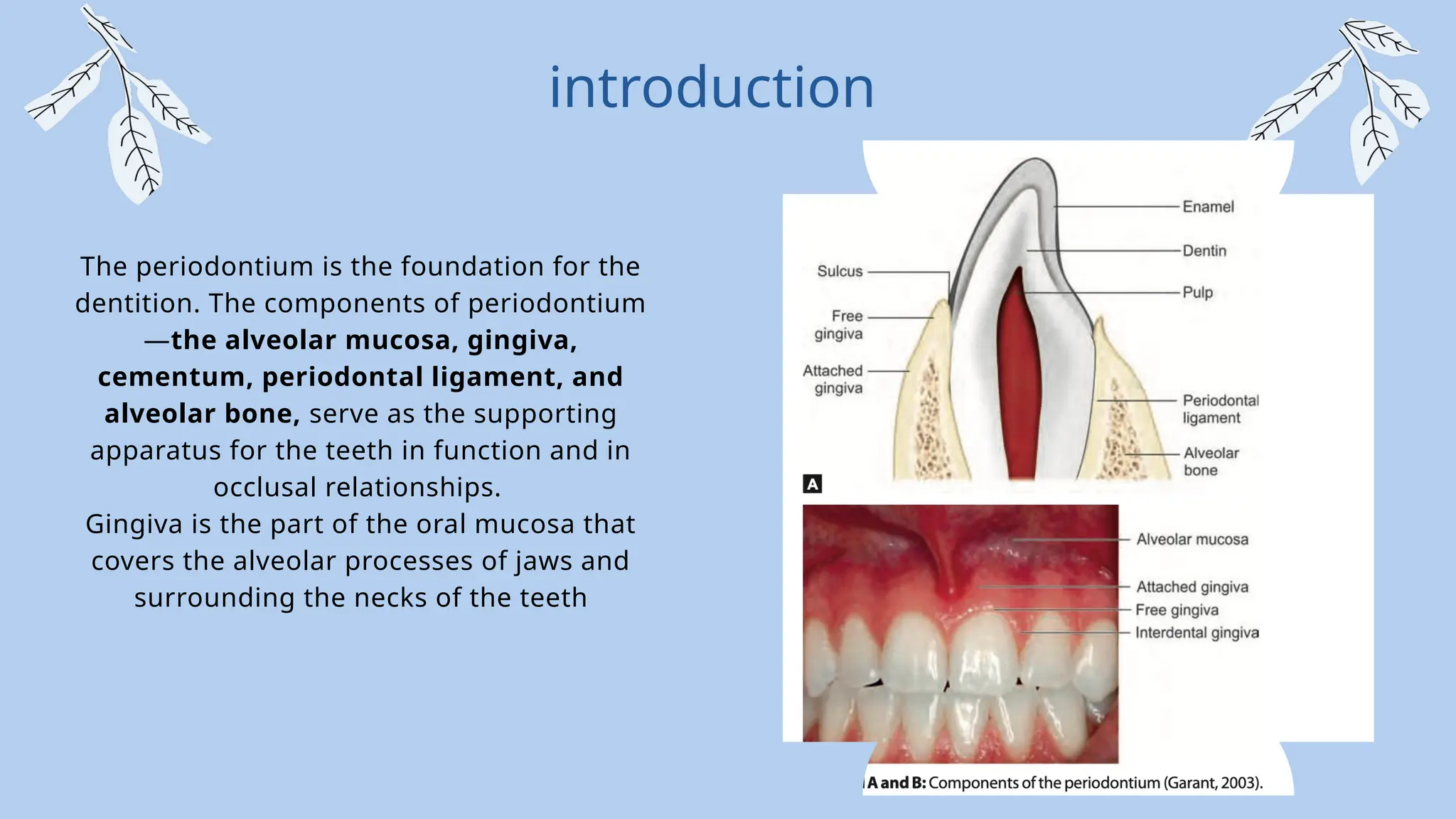 Gingival and Periodontal diseases in children pediatric dentistry .pptx