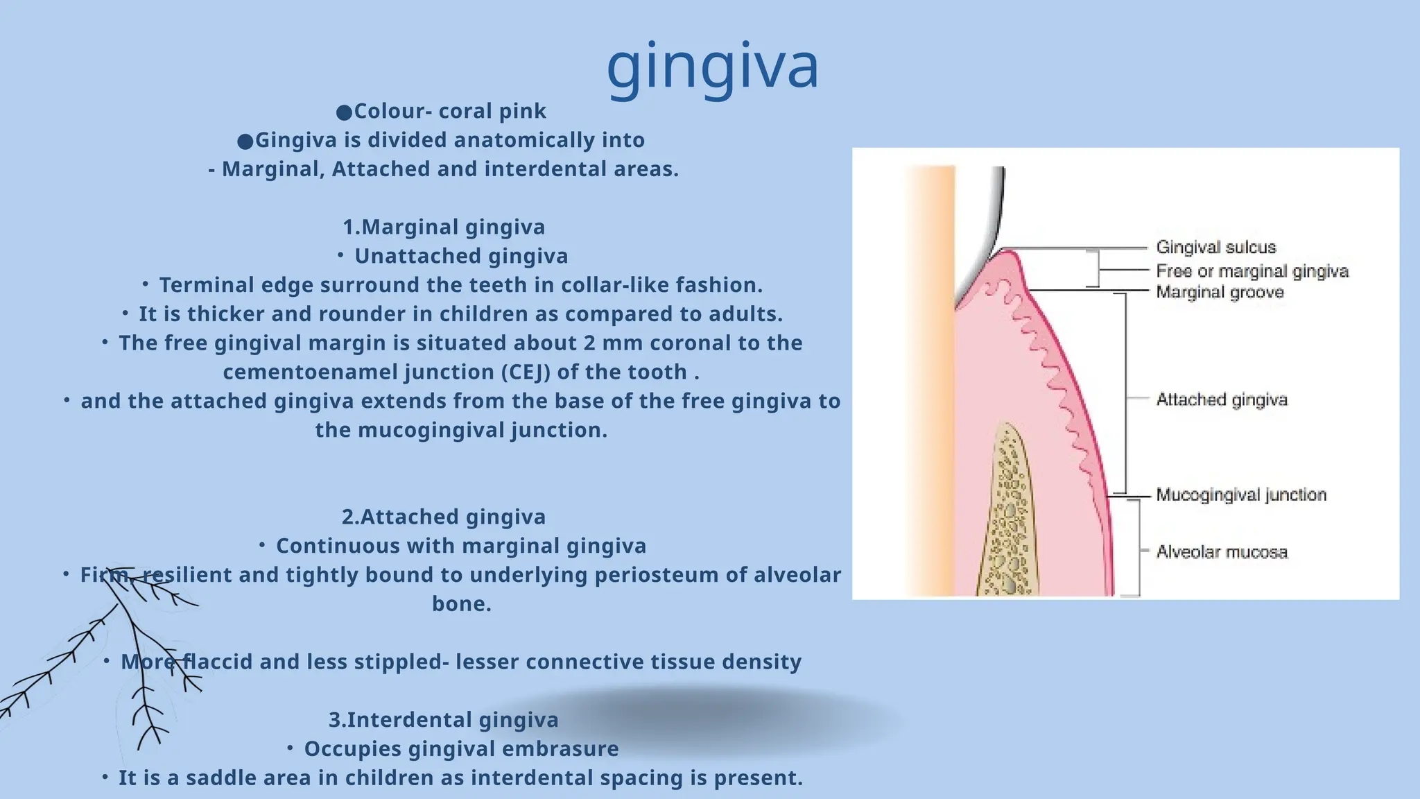 Gingival and Periodontal diseases in children pediatric dentistry .pptx