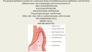 Gingival and Periodontal diseases in children pediatric dentistry .pptx