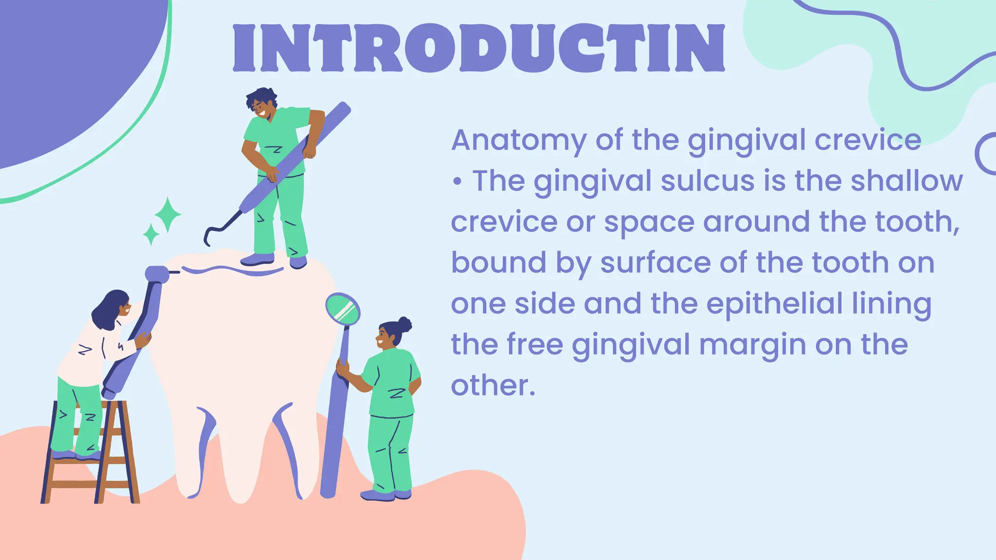 Gingival cervical fluid.pdf.pdf Anatomy of the gingival crevice • The ...
