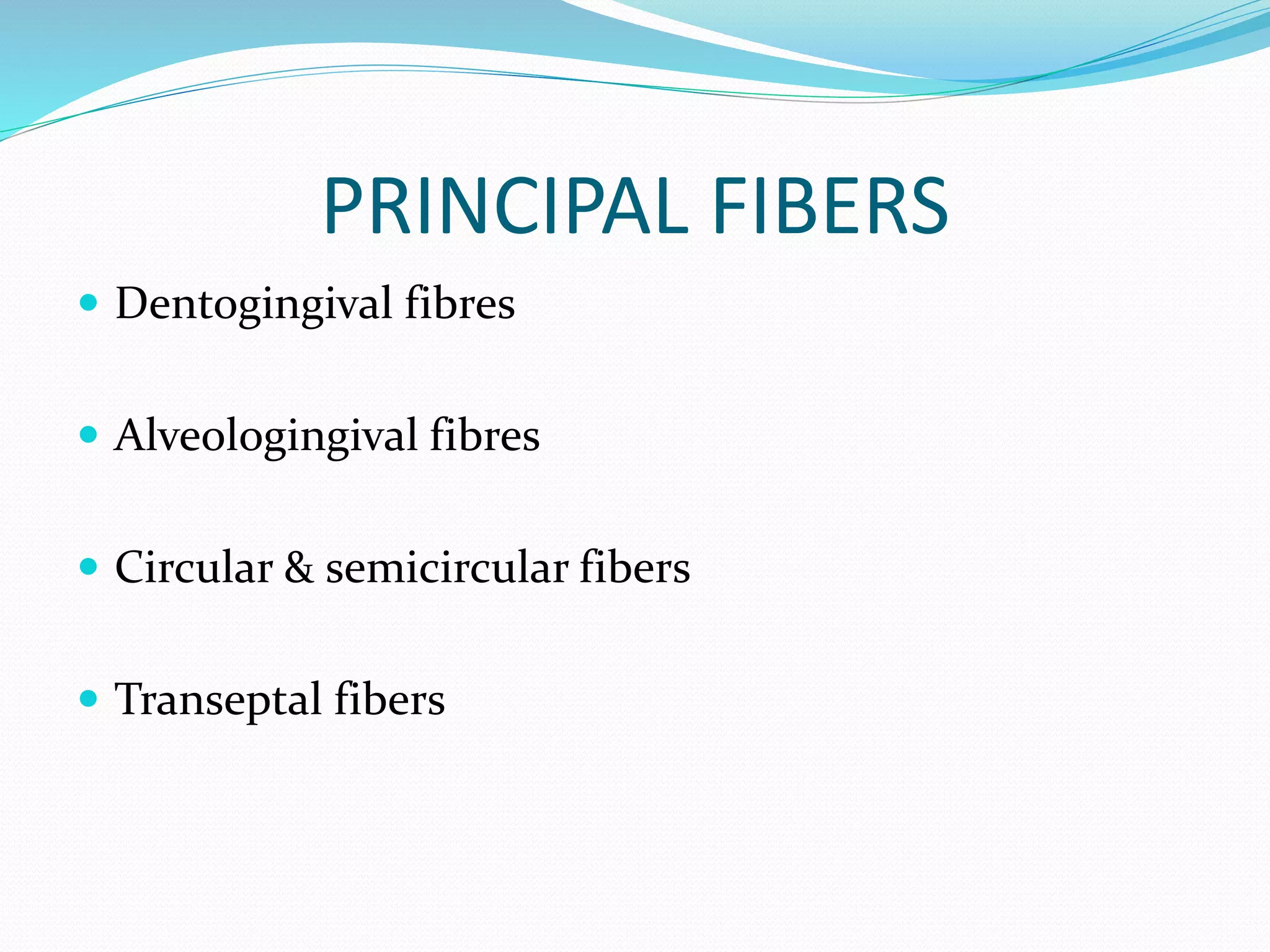 Gingival connective tissue.pptx