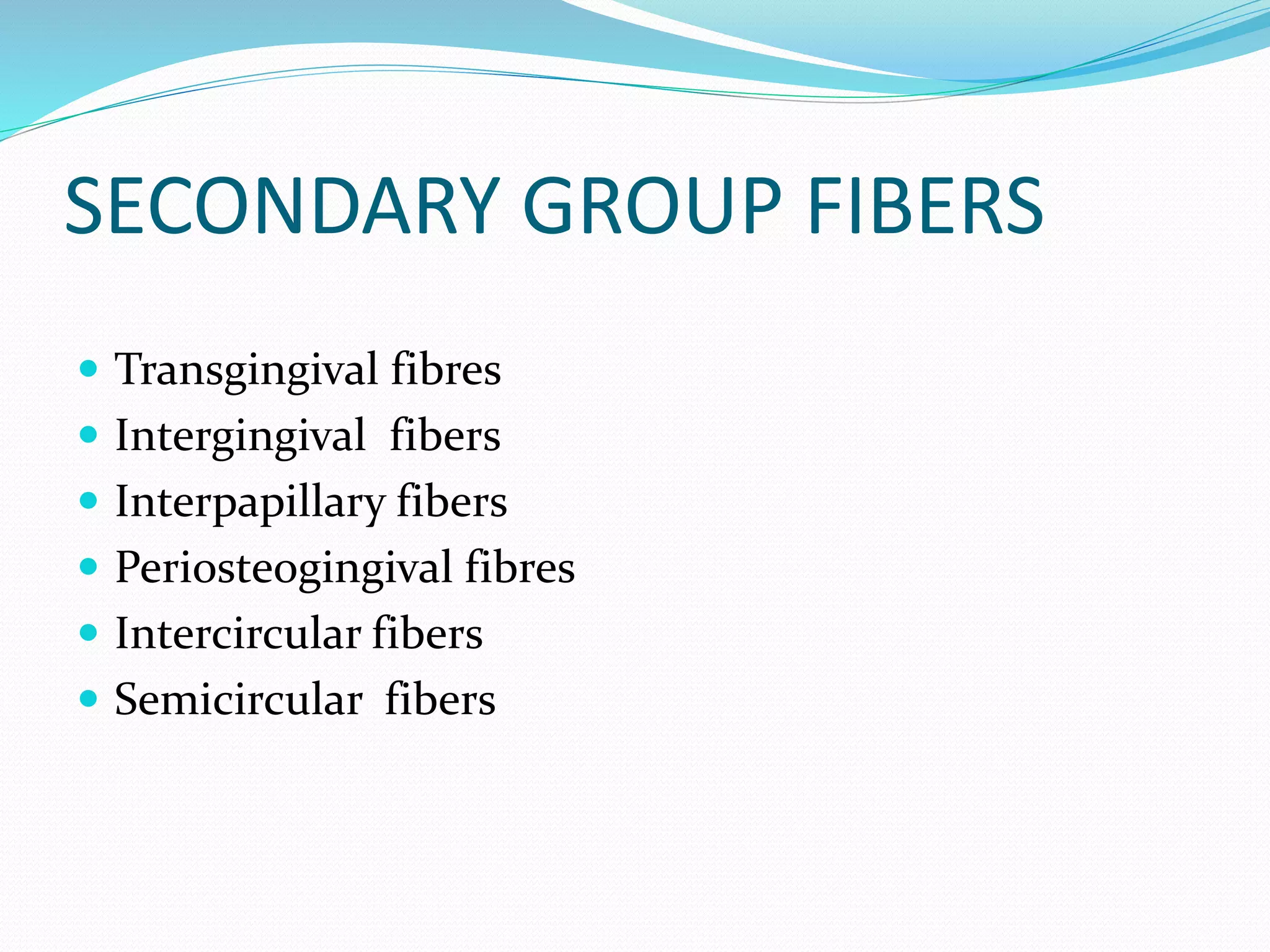Gingival connective tissue.pptx