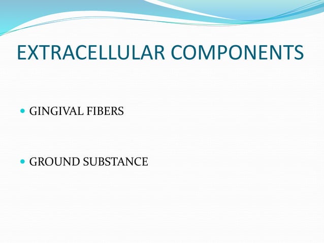 Gingival connective tissue.pptx