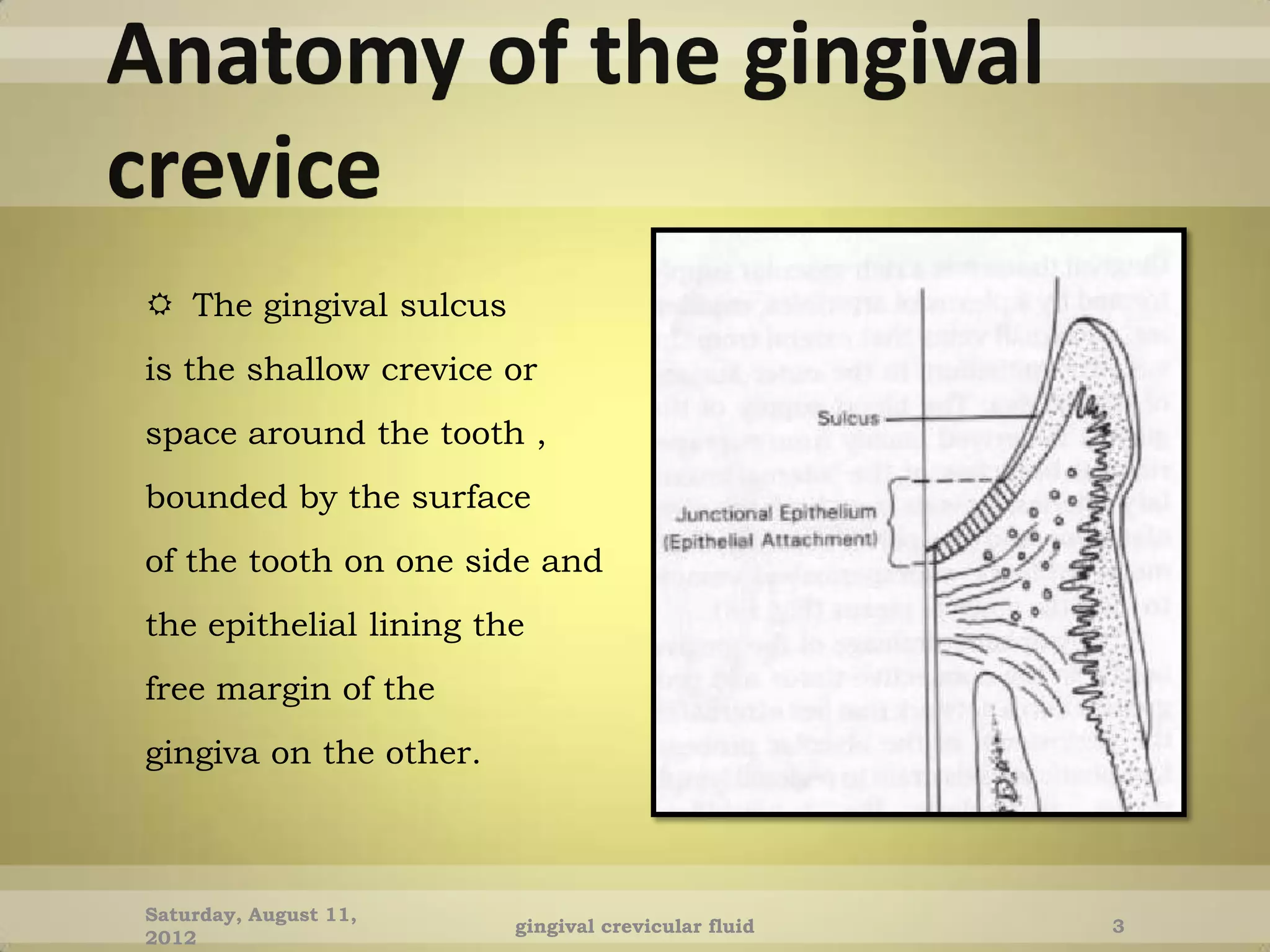 Gingival crevicular fluid | PPTX