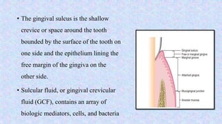 Gingival crevicular fluid | PPTX