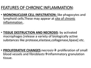 GINGIVAL INFLAMMATION | PPTX