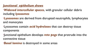 Gingival inflammation - Dr Smijal Gopalan Marath - Specialist ...