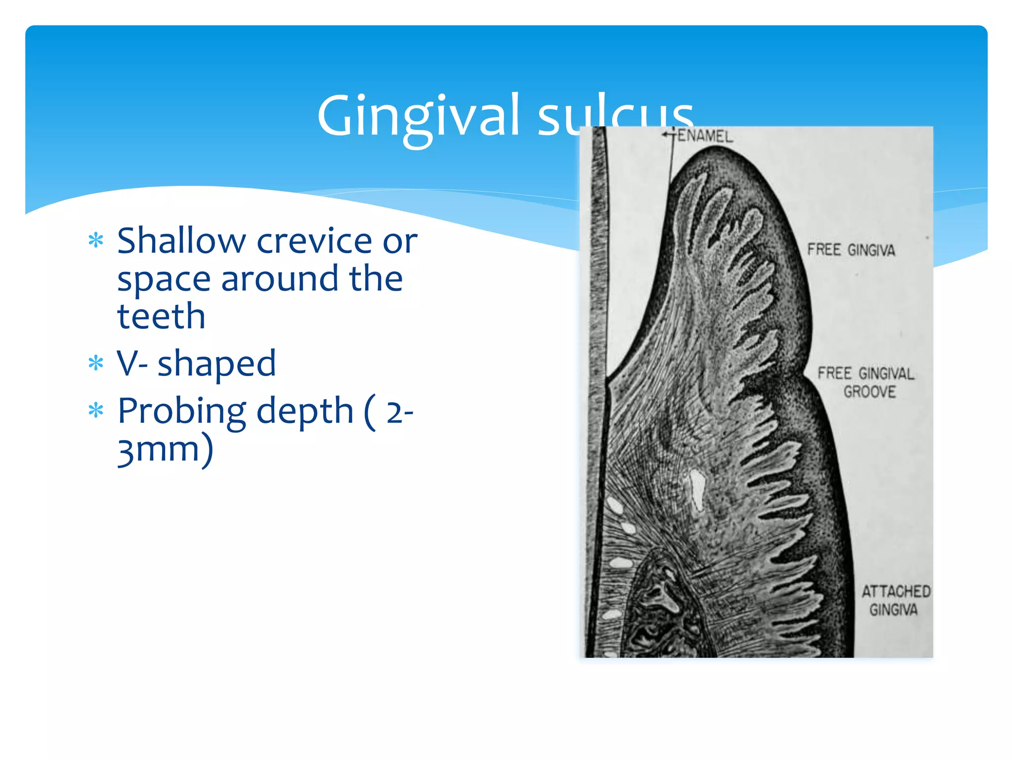 Gingival tissue management | PPTX
