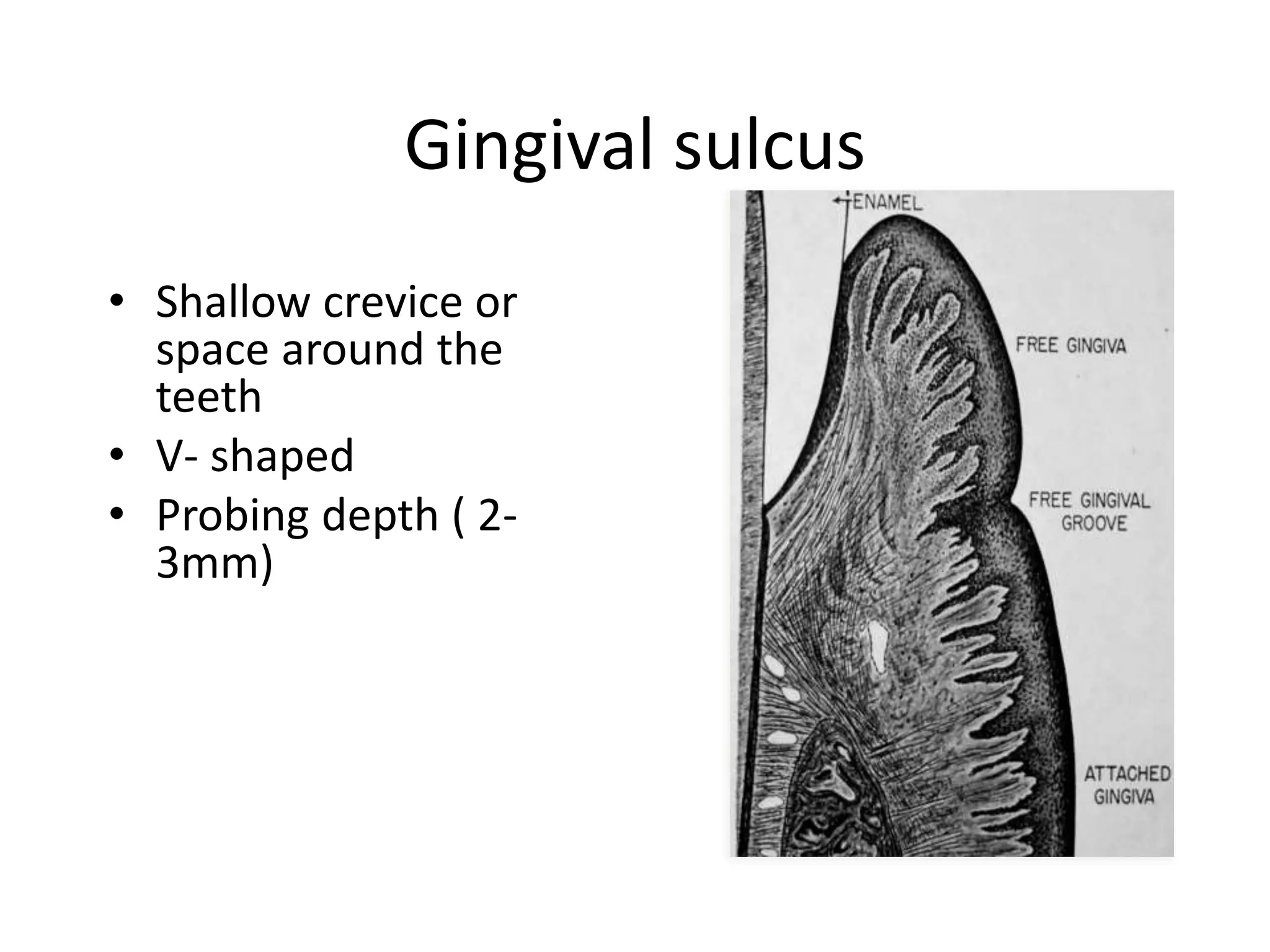 Gingival tissue management | PPTX