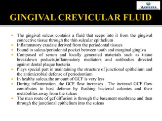 Gingiva | PPTX