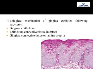 Gingiva | PPTX