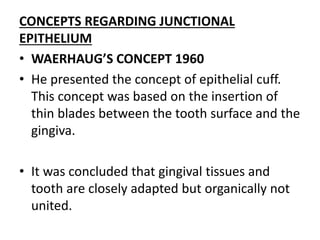 Gingiva ppt | PPTX