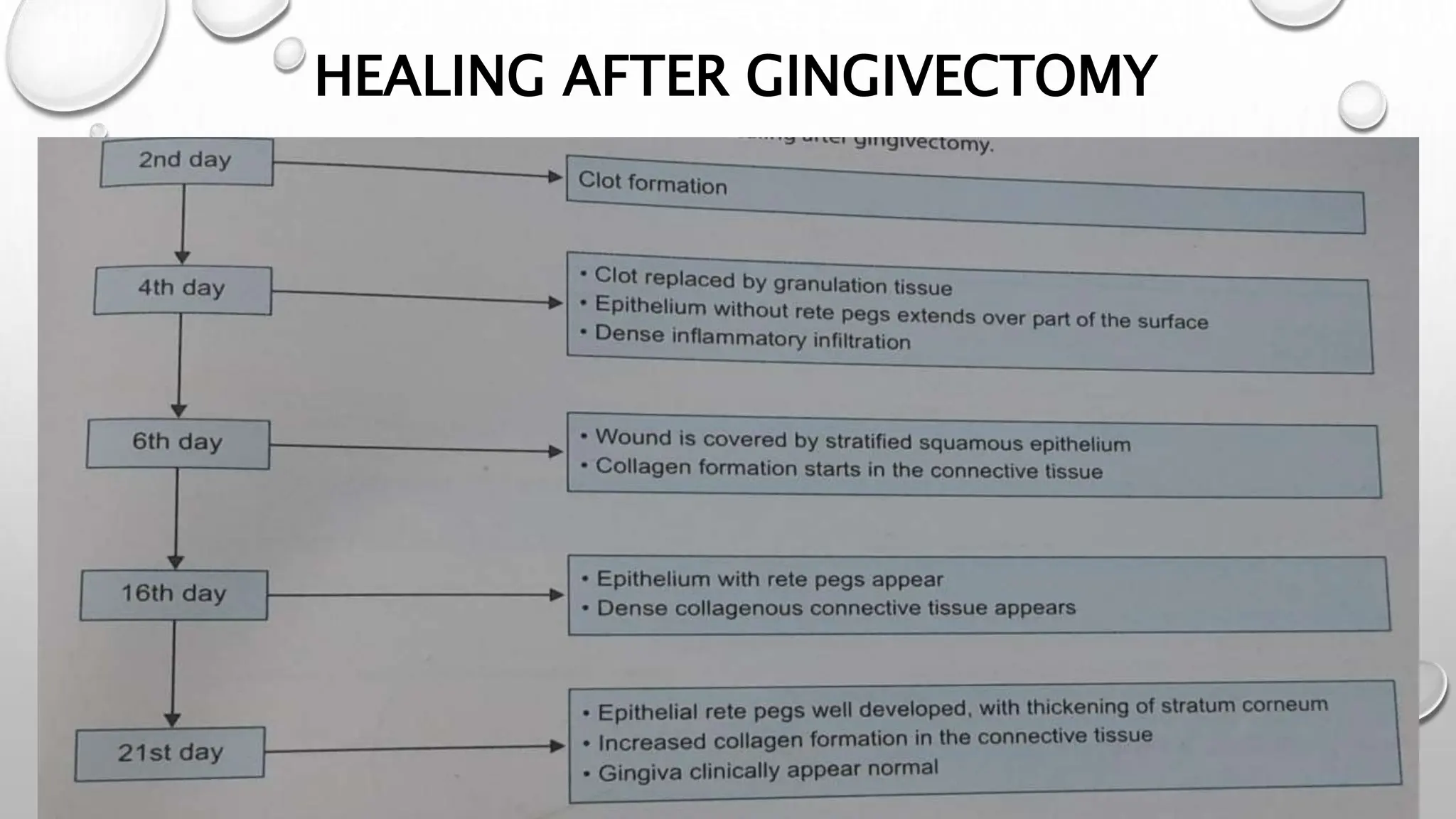 Gingivectomy- Surgical procedure in Periodontics | PPTX