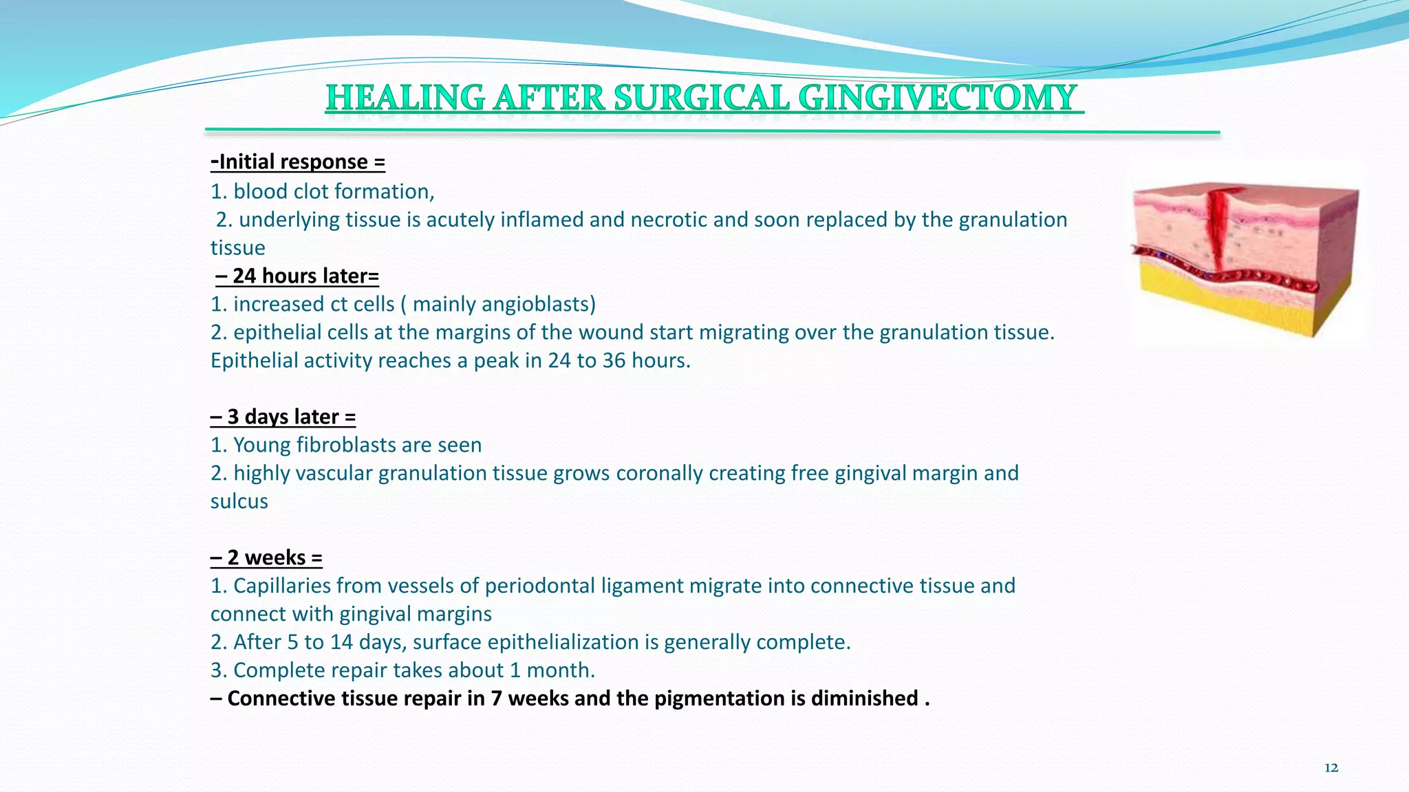 Gingivectomy ppt | PPTX