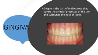 Gingivitis main | PPTX