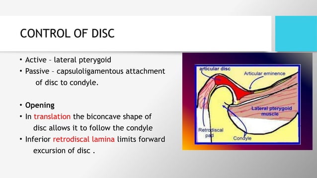 Ginglymoarthrodial joint.pptx by Dr .kushmitha cardiologist | PPT