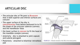 Ginglymoarthrodial joint.pptx by Dr .kushmitha cardiologist | PPTX