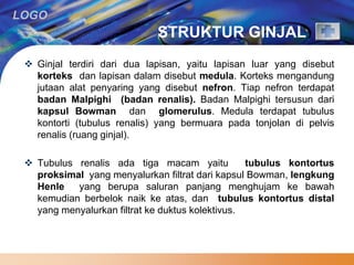 Ginjal | PPTX