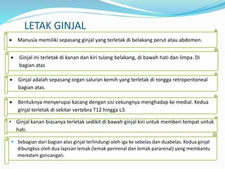 Ginjal | PPTX