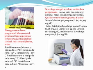 Ginjal | PPTX