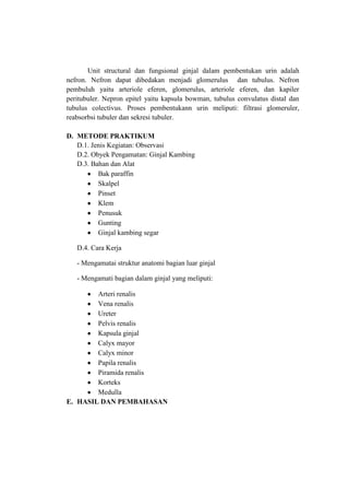 Ginjal 1 | DOCX