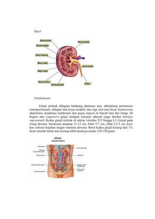 Ginjal 1 | DOCX