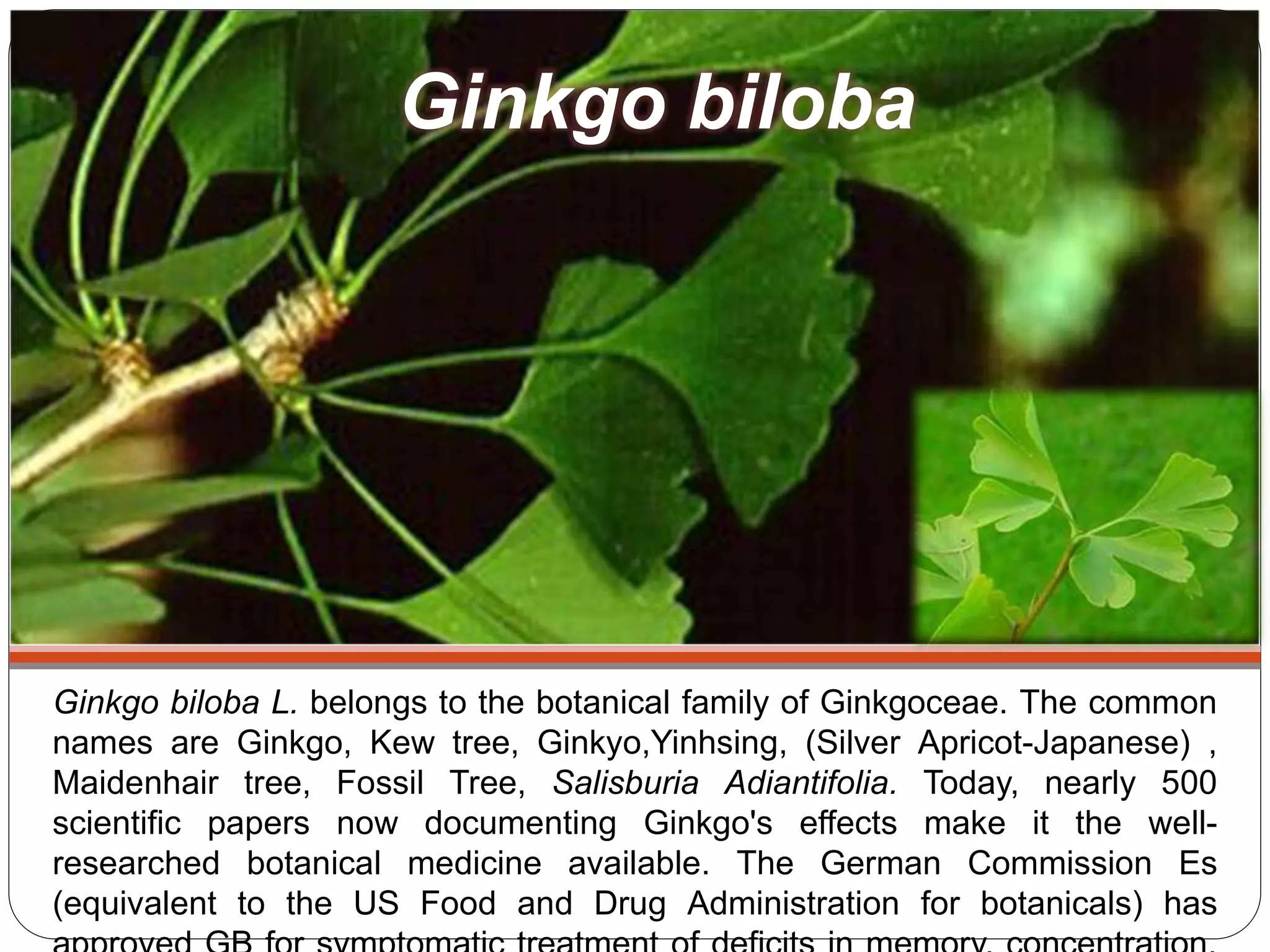 Ginkgo biloba | PPTX