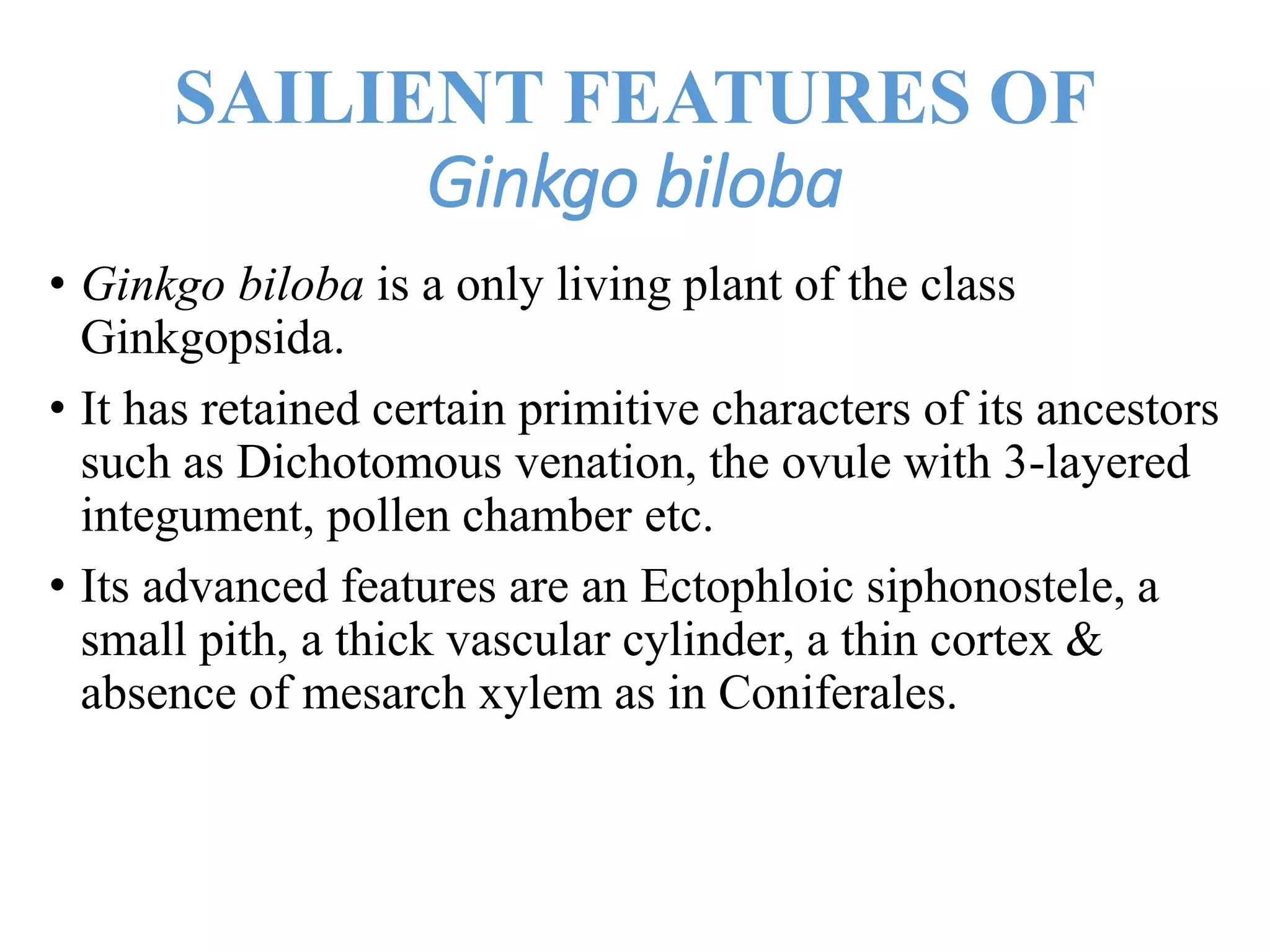 Ginkgo biloba | PPTX