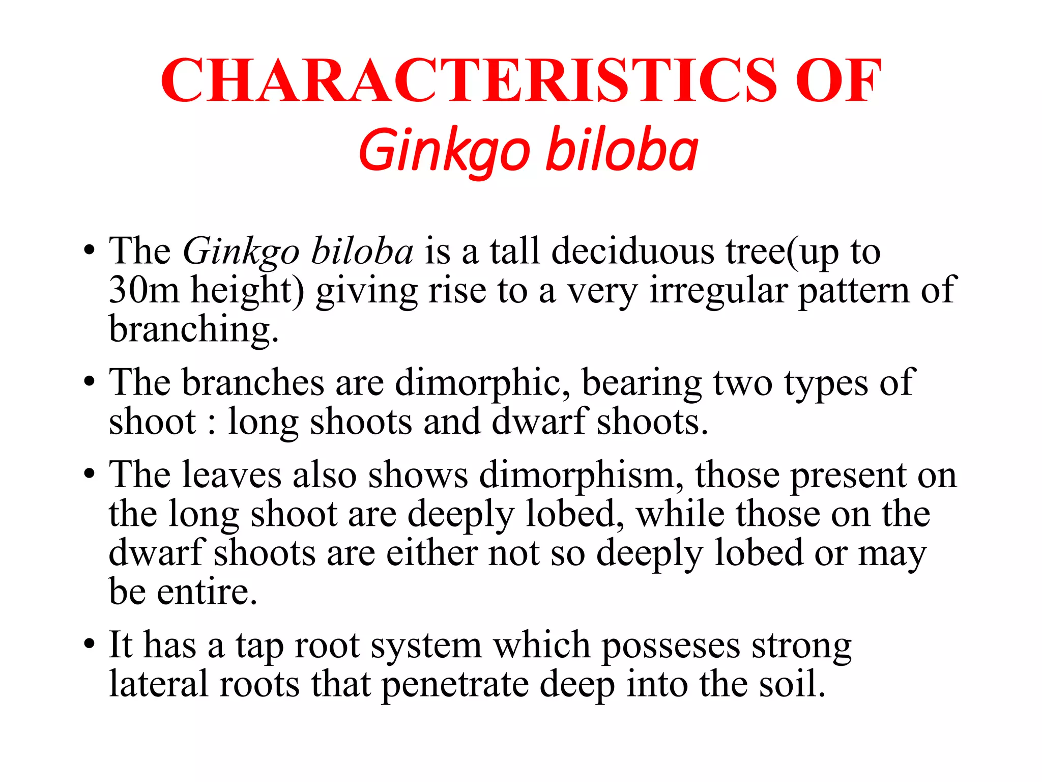 Ginkgo biloba | PPTX