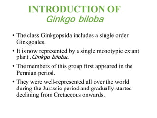 Ginkgo biloba | PPTX