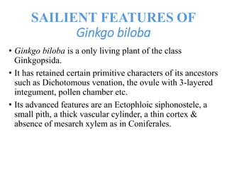 Ginkgo biloba | PPTX