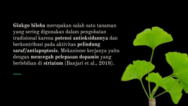 PPTX Ginkgo Biloba with Simvastatin.pptx