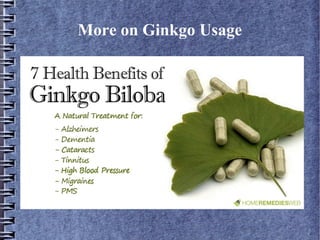 Discovering Ginkgo biloba | ODP