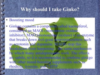 Discovering Ginkgo biloba | ODP