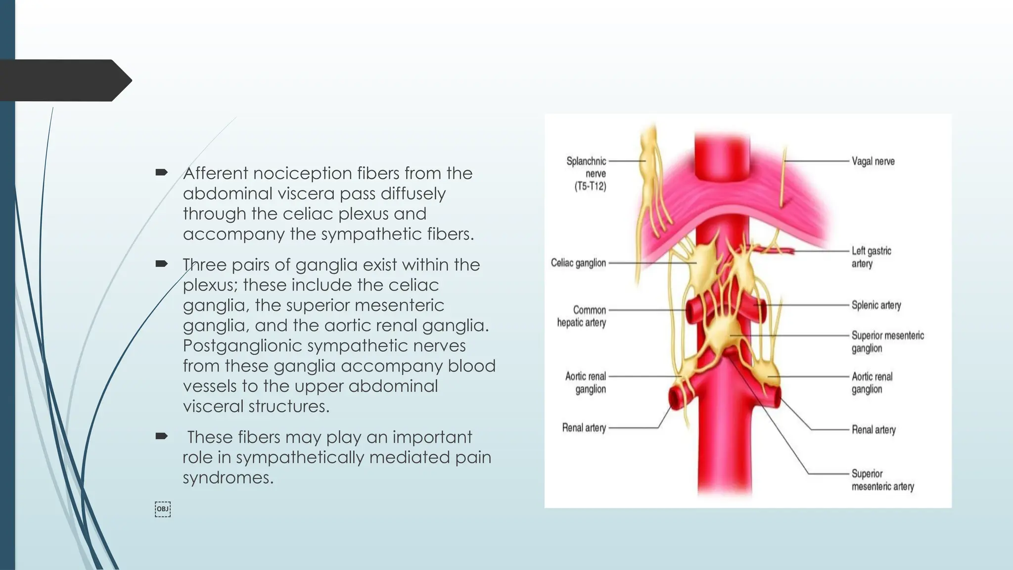 GI NOCICEPTION (2).pptx njkooooopiuhjiii | PPTX