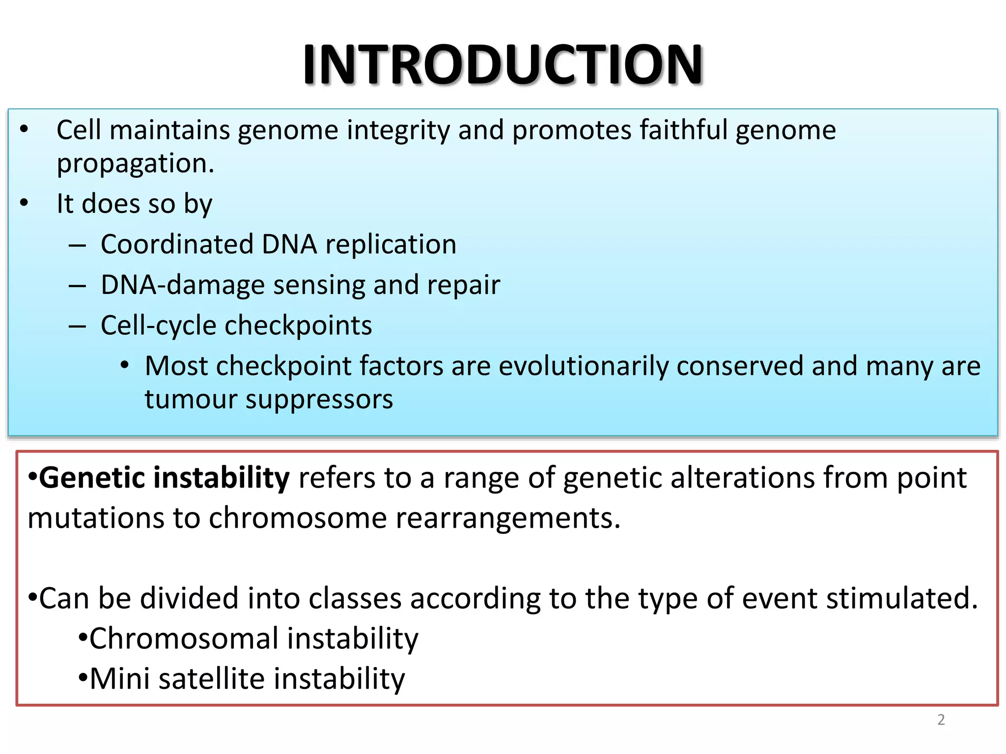 Genomic instability and Cancer | PPTX
