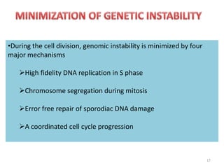 Genomic instability and Cancer | PPTX