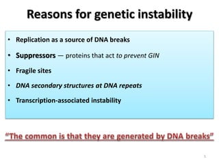 Genomic instability and Cancer | PPTX