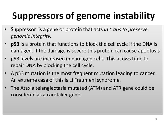 Genomic instability and Cancer | PPTX | Cancer | Diseases and Conditions